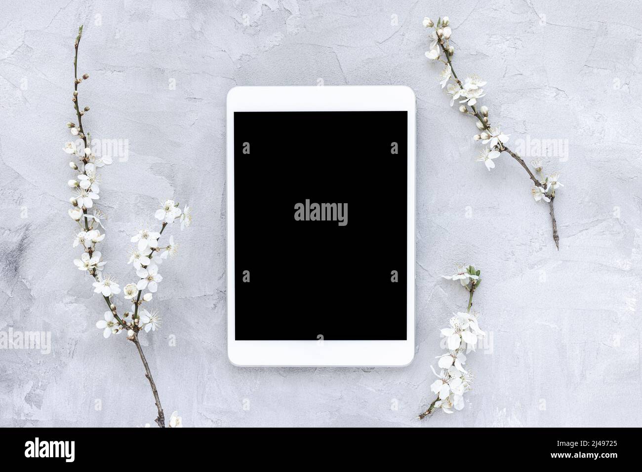 Digital tablet mock-up and spring white cherry blossom flowers on gray ...