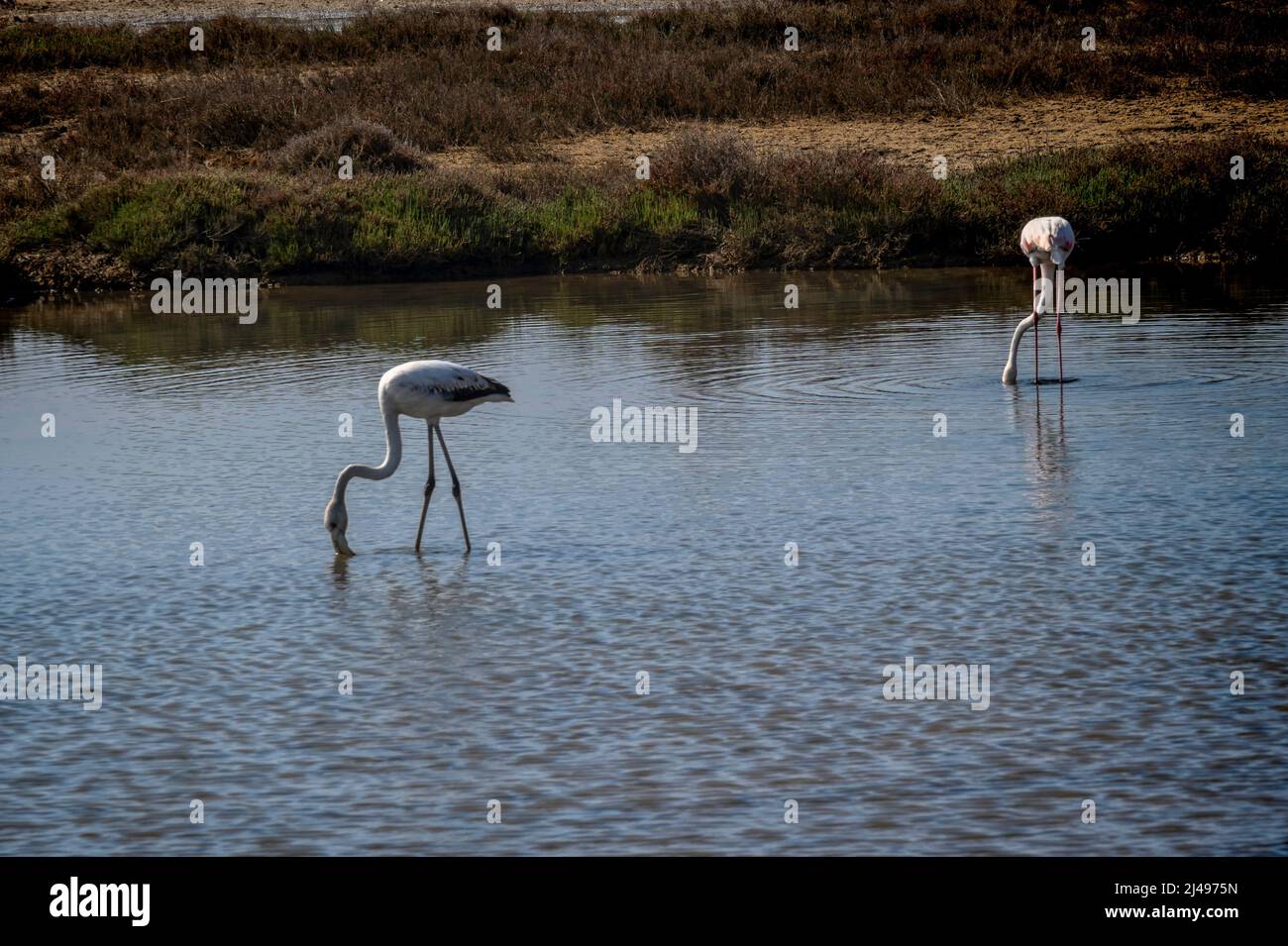 Terres de l'ebre hi-res stock photography and images - Alamy