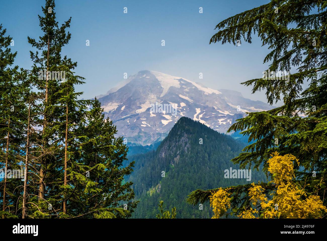 An overlooking landscape view of Mt Rainer NP, Washington Stock Photo ...