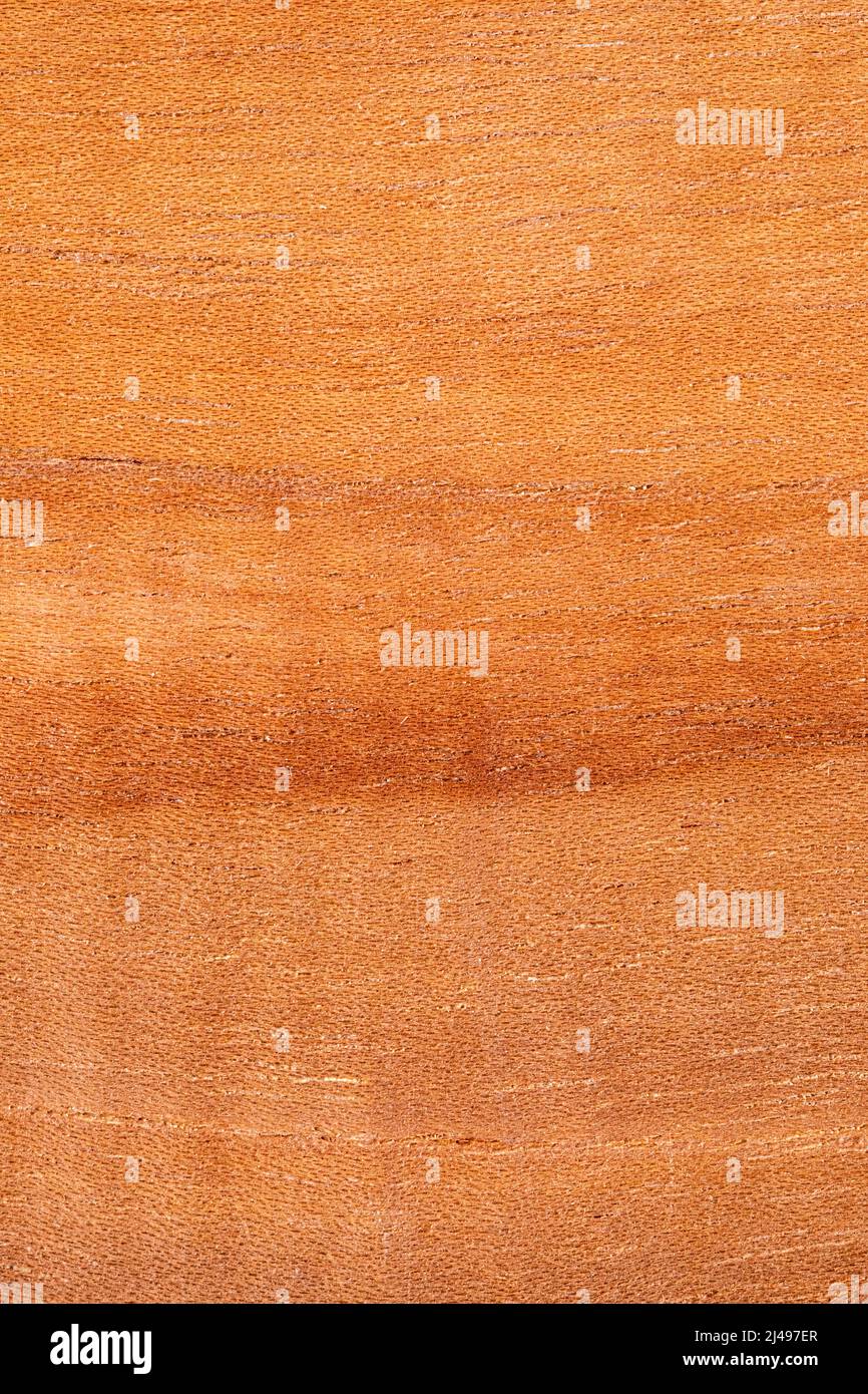 Macro Close up of wooden texture of Cedar wood cigar box surface Stock ...