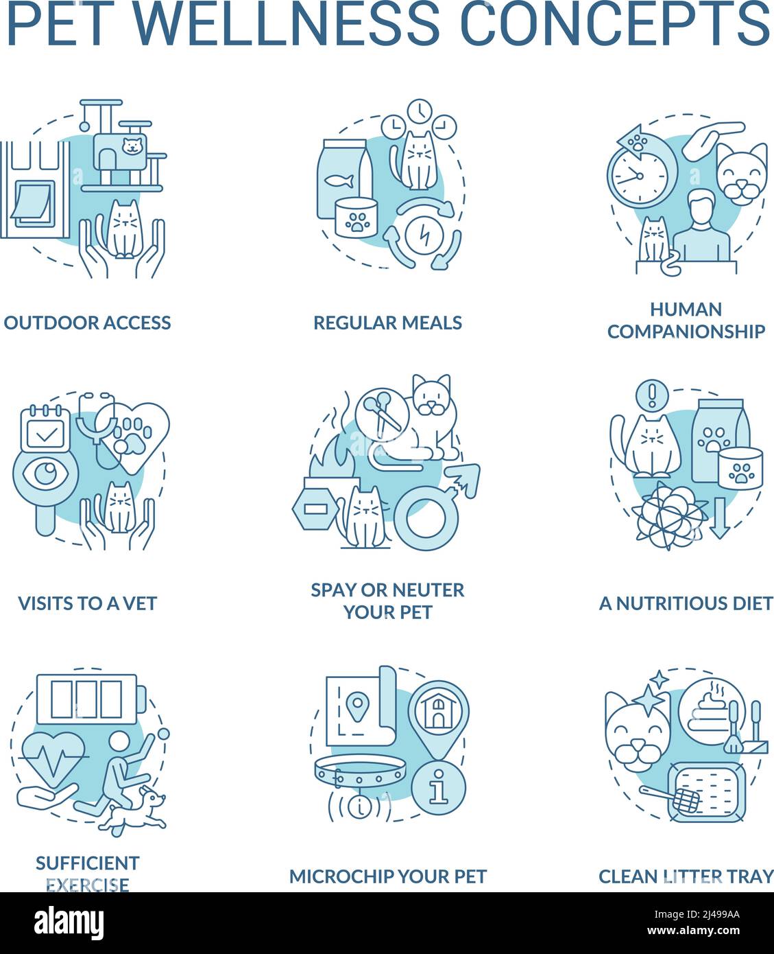 Pet wellness turquoise concept icons set Stock Vector Image & Art - Alamy