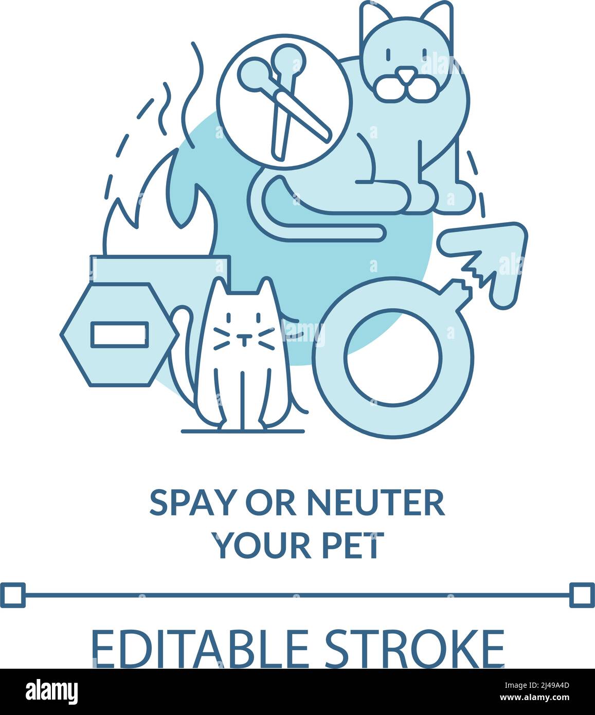 Spay and neuter pet Cut Out Stock Images & Pictures - Alamy