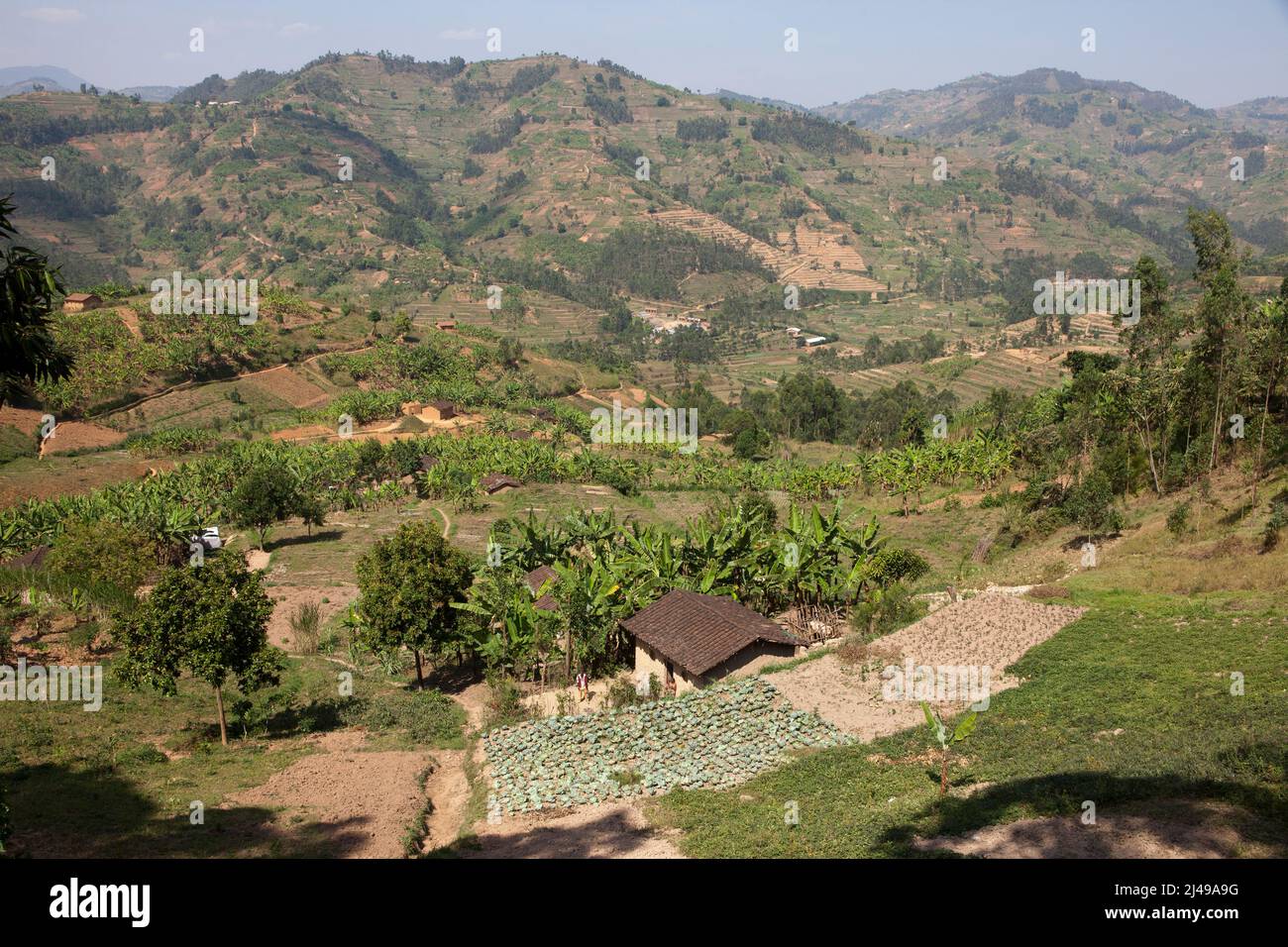 Landscape, Bukinga village, Ruganga Cell, Gakenke district. Photograph ...