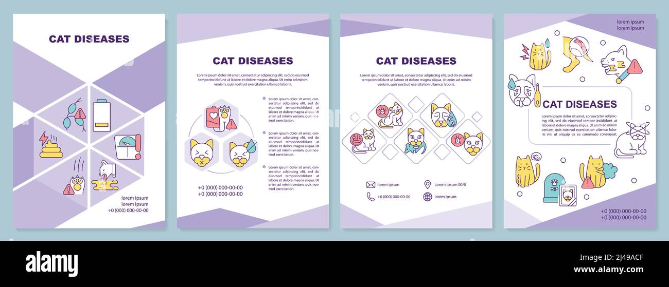 Cat diseases purple brochure template Stock Vector Image & Art - Alamy
