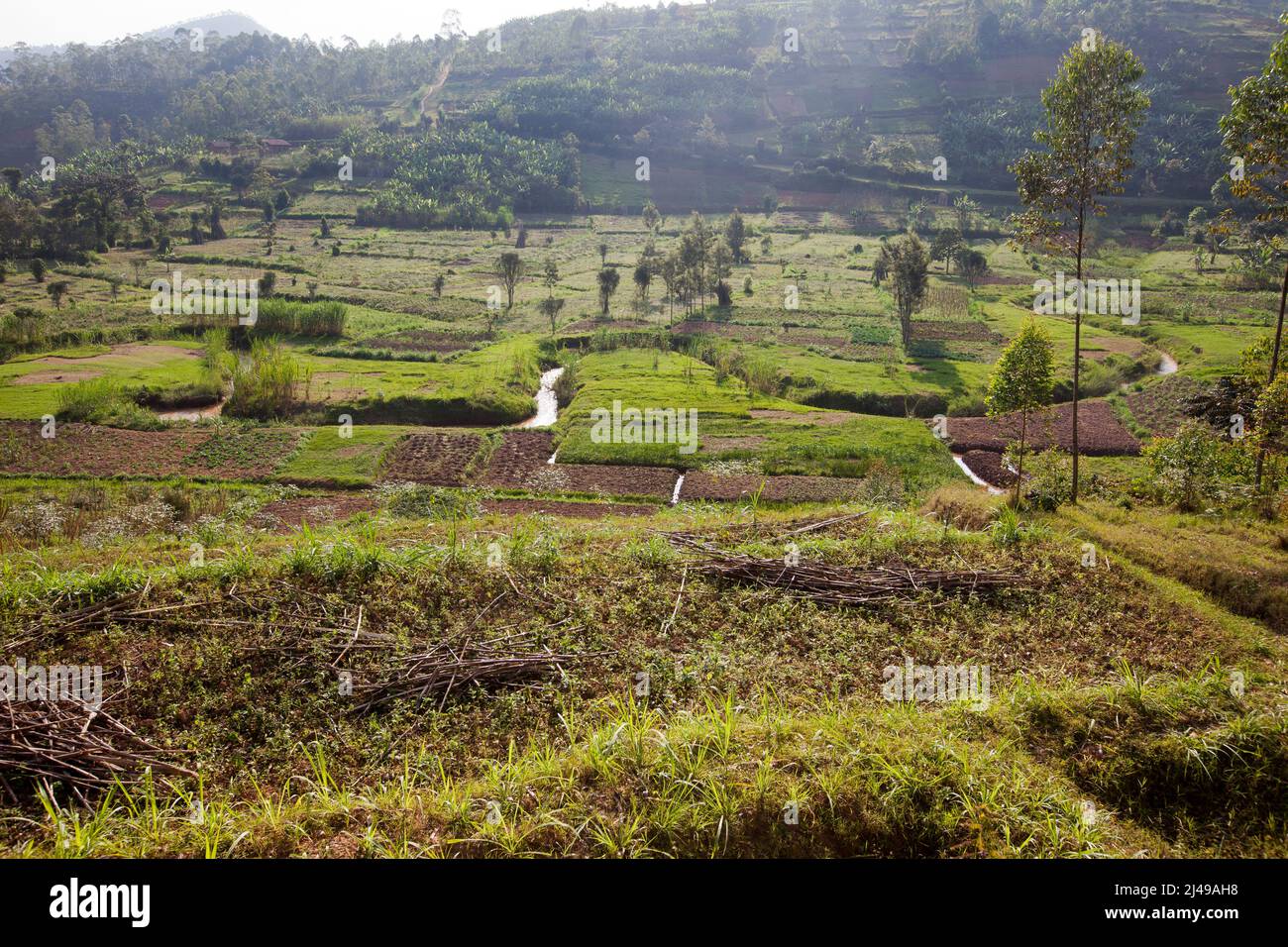 Landscape, Busengo sector, Gakenke district Stock Photo - Alamy