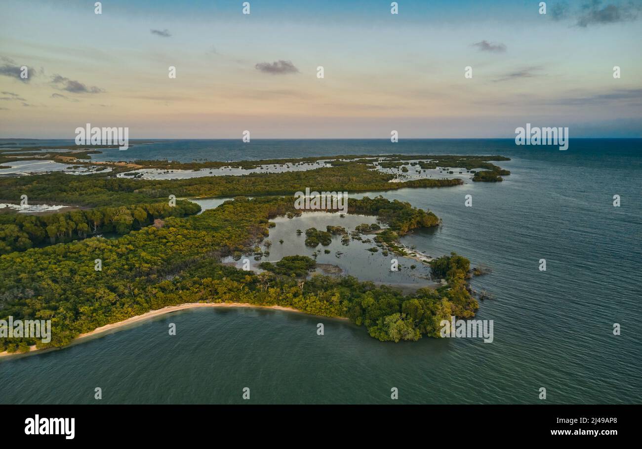 Falcon venezuela hi-res stock photography and images - Alamy