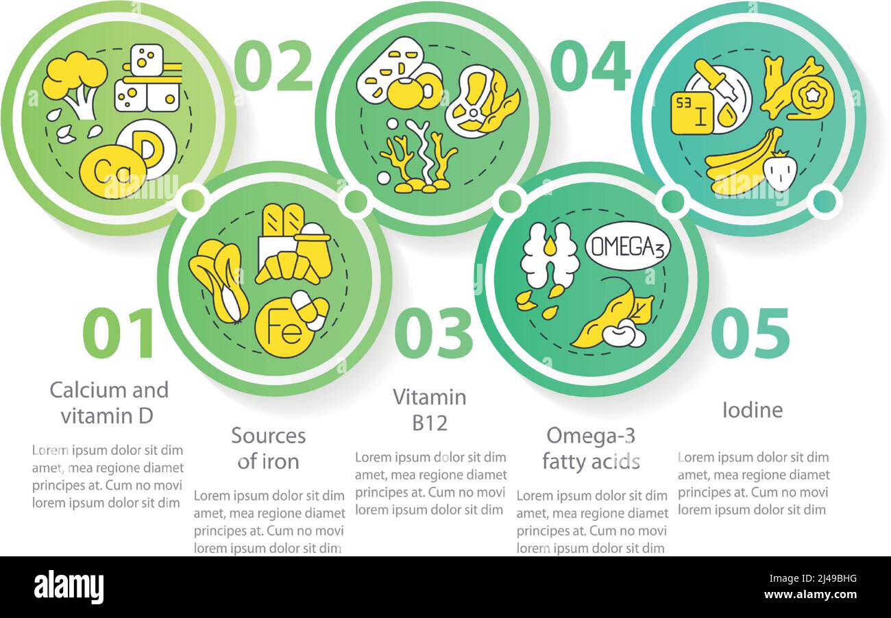 Sources of nutrients loop circle infographic template Stock Vector ...