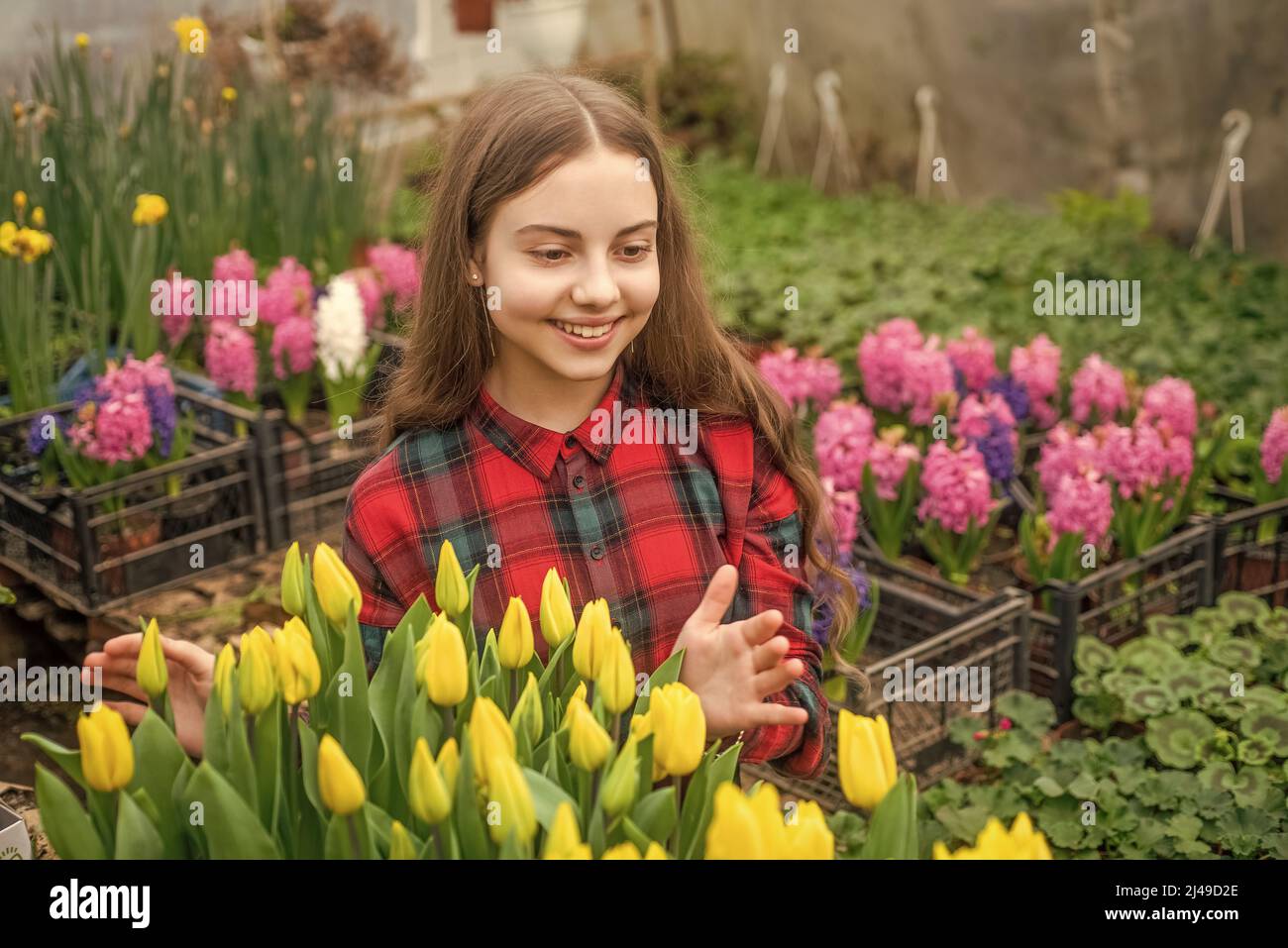 happy teen girl florist planting pot plants in greenhouse, gardener ...