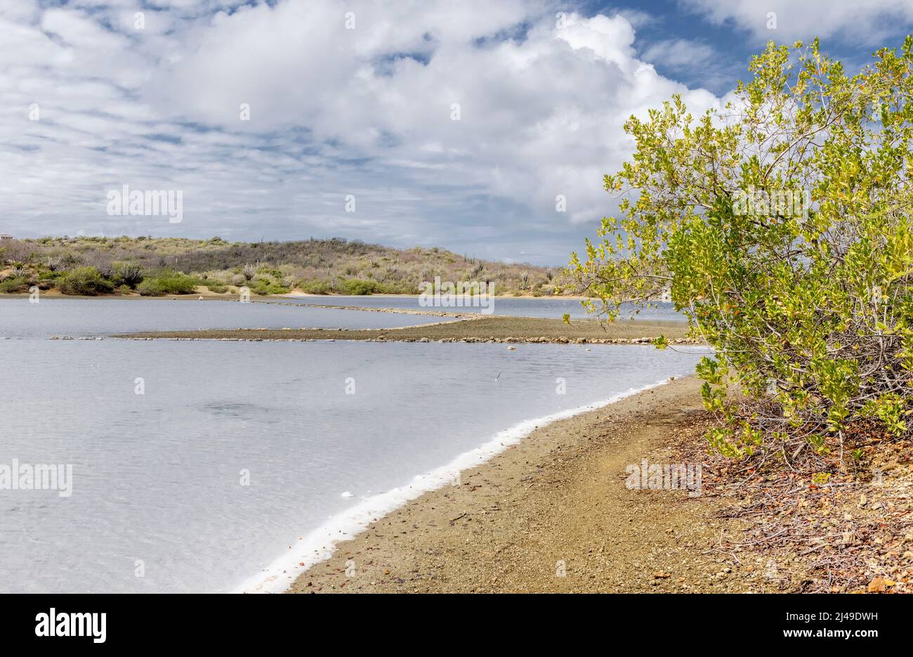 Walk along the salty shores of the Jan Thiel lagoon on the Caribbean ...