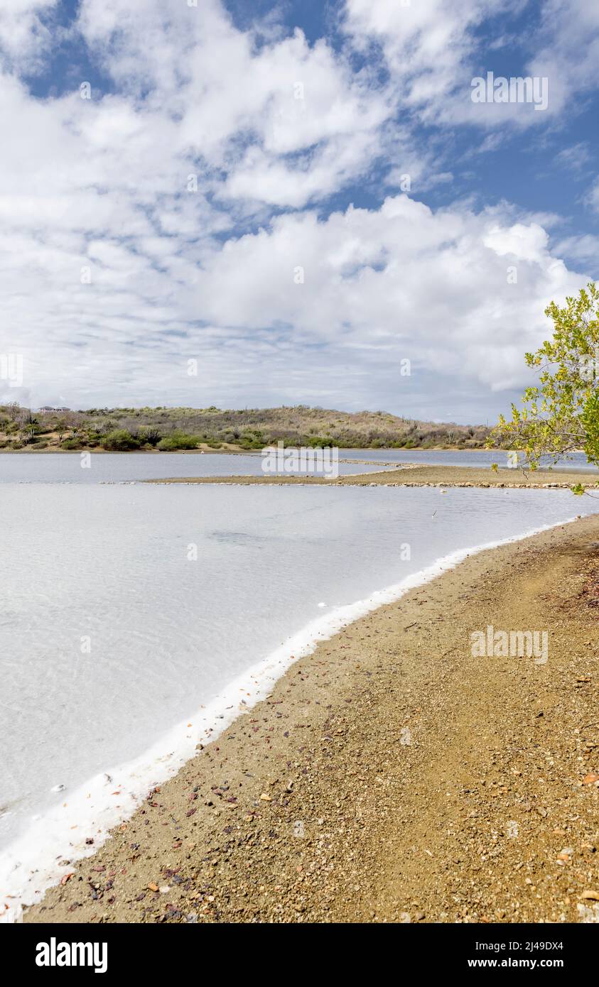 Walk along the salty shores of the Jan Thiel lagoon on the Caribbean ...