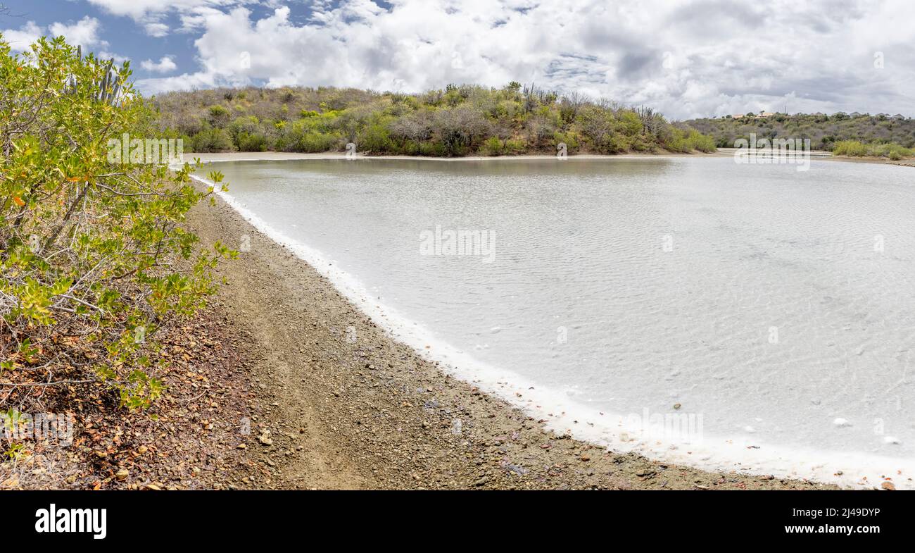 Panorama of the Jan Thiel Salt Flats on the Caribbean island Curacao ...