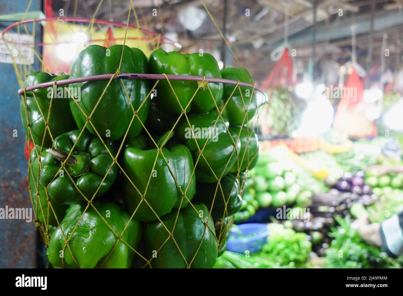 green color capsicum display for sale at local store Stock Photo - Alamy