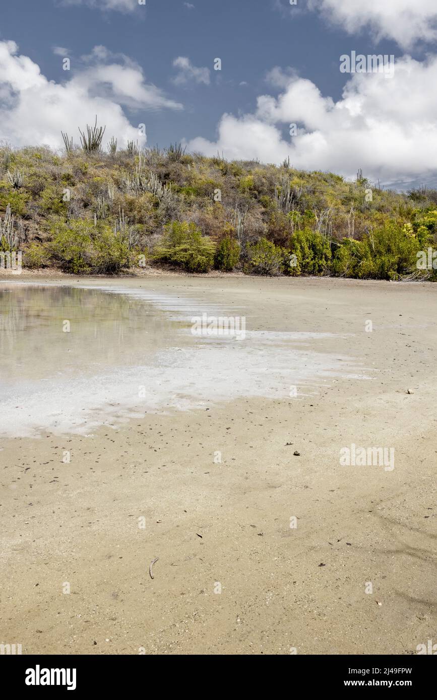 Walk along the salty shores of the Jan Thiel lagoon on the Caribbean ...