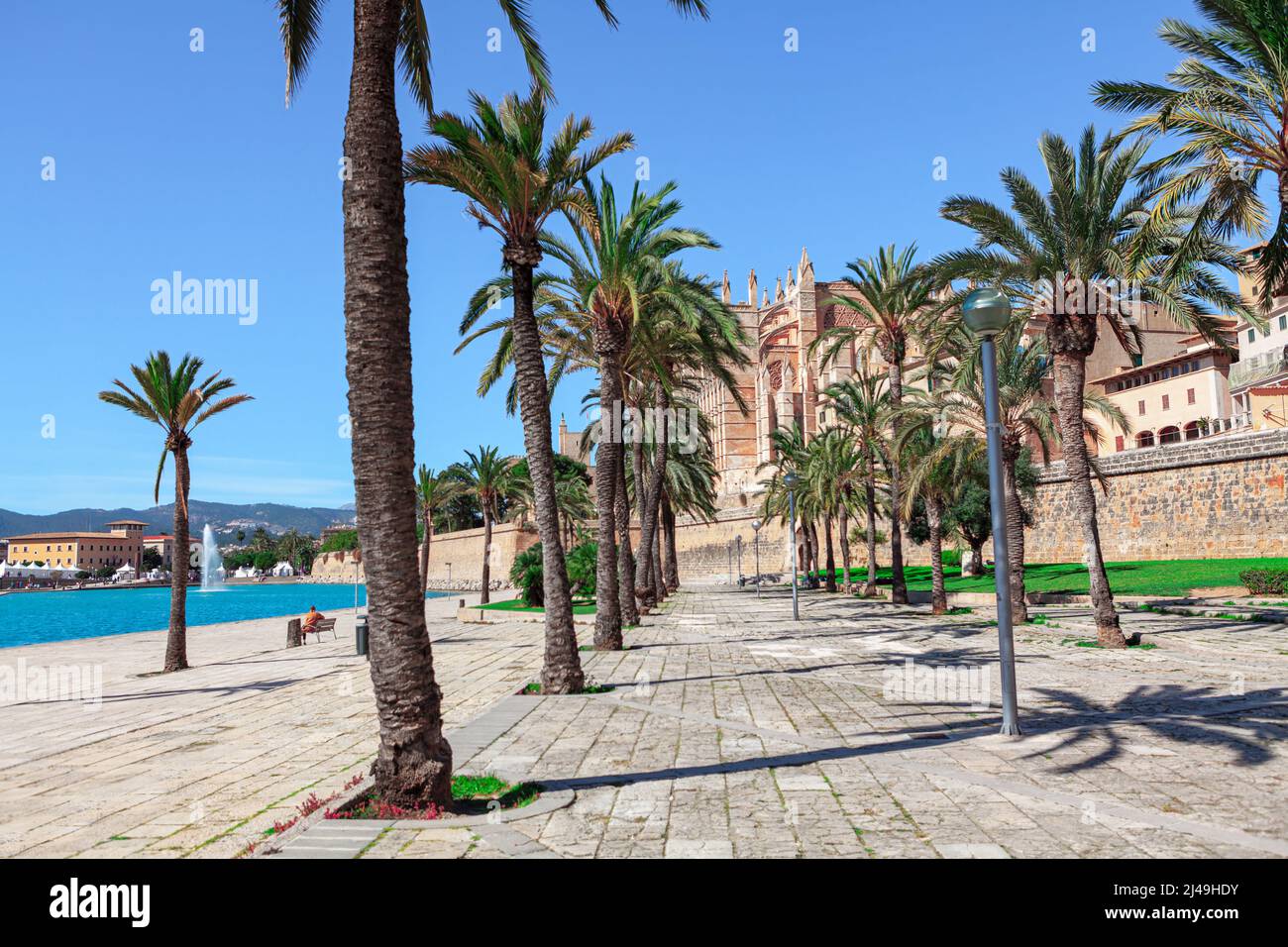 Parc de la Mar in Palma Mallorca . Town square with palm trees at the ...