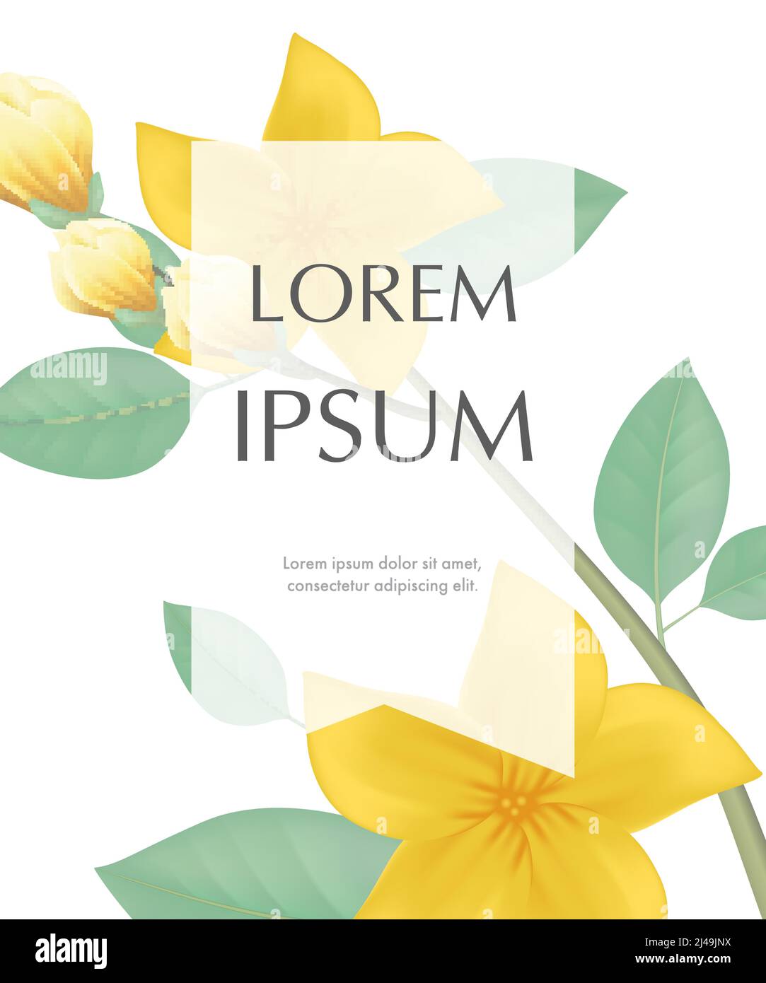 Greeting card template design with yellow flowers on white background ...