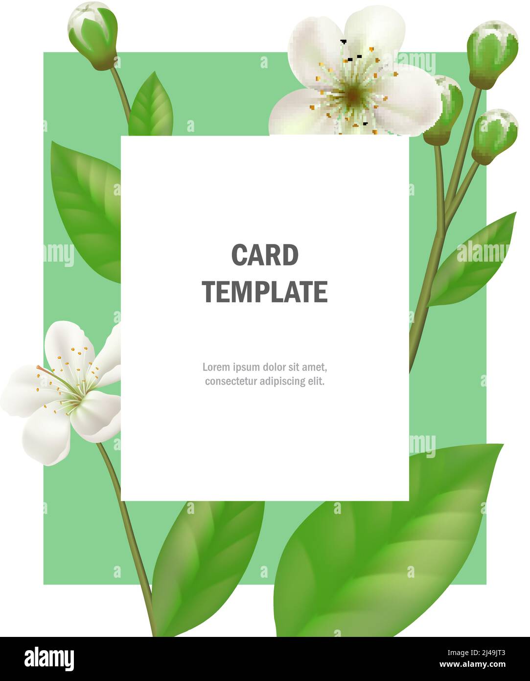 Apple leaflet hi-res stock photography and images - Alamy