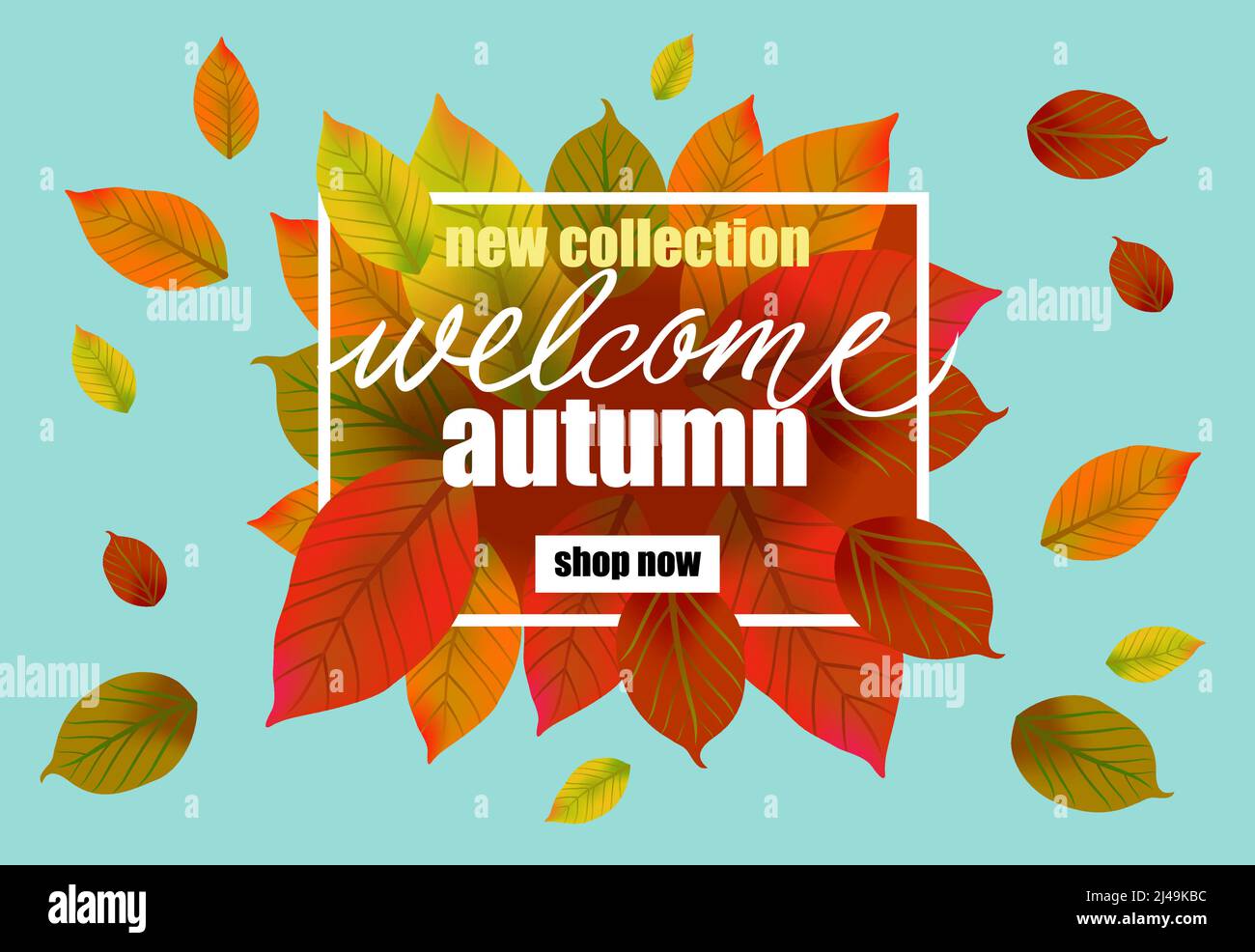 New collection welcome autumn Shop now lettering. Modern creative ...