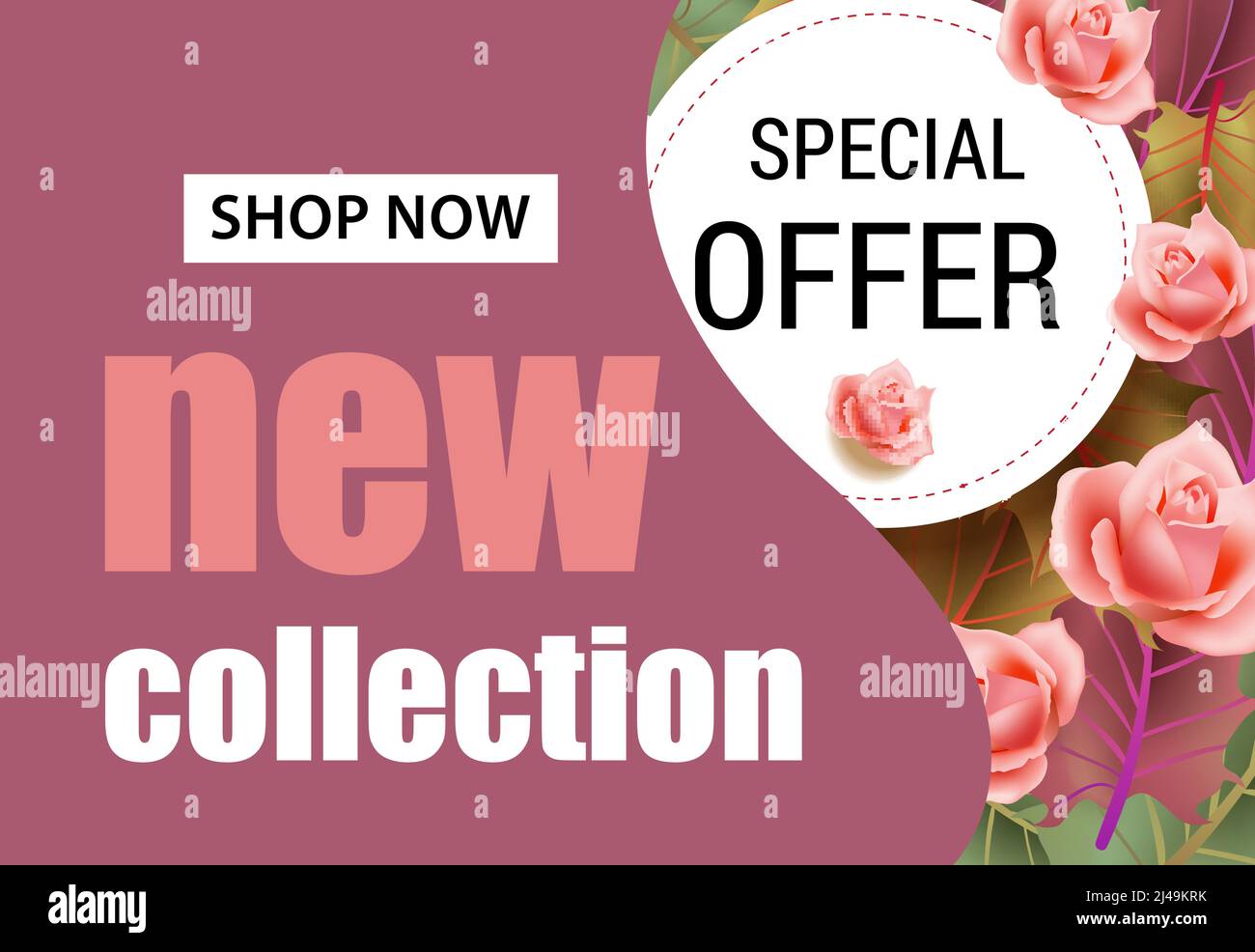 New collection lettering with pink roses. Seasonal offer or sale ...