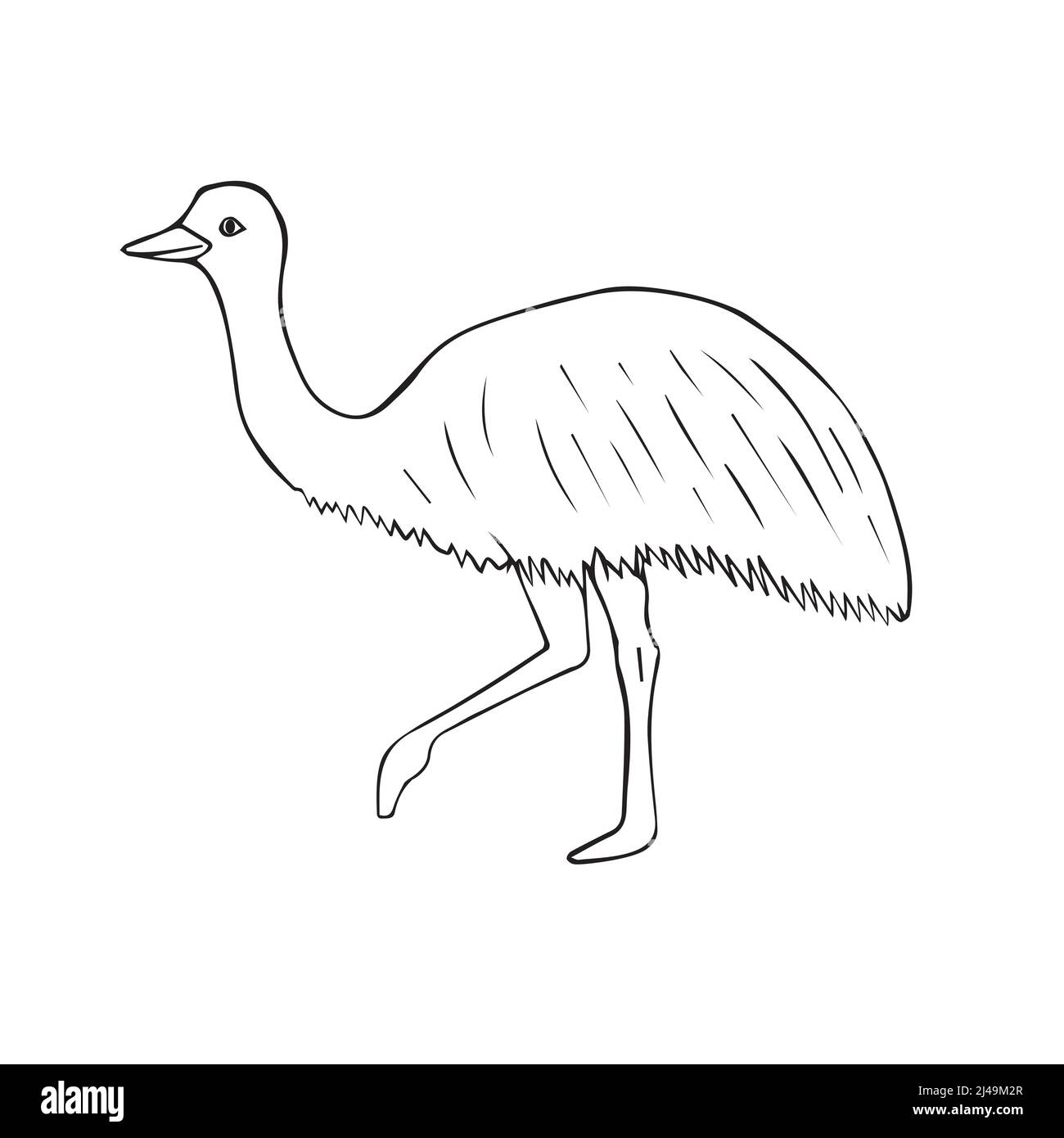 Emu Clipart Black And White