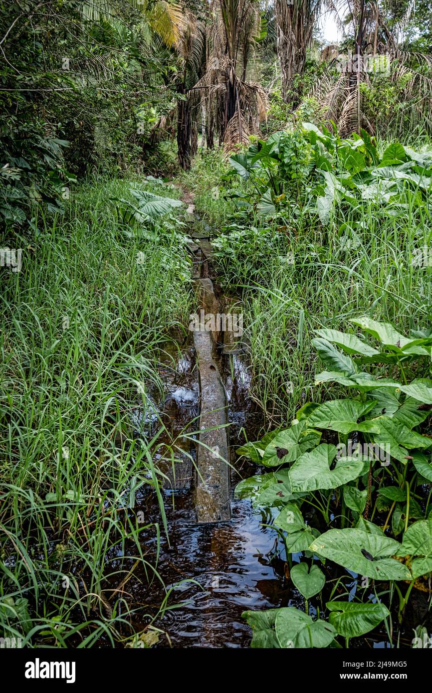 Ecuadorians amazonia hi-res stock photography and images - Alamy