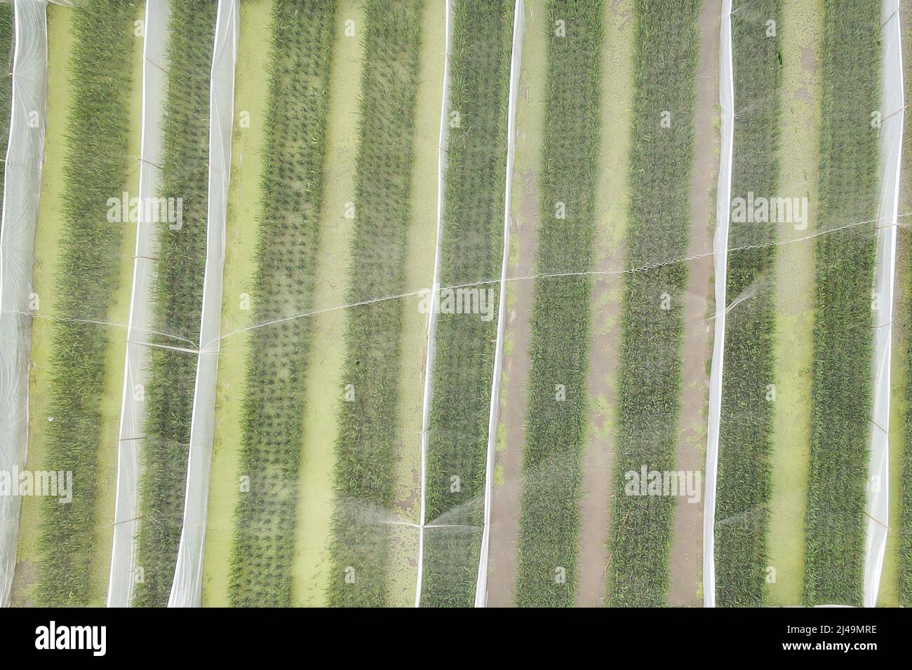 Silicon valley aerial 2022 hi-res stock photography and images - Alamy