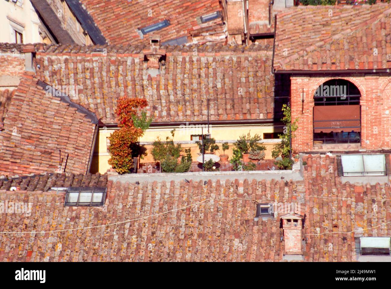 Roof garden Rome Italy Stock Photo - Alamy
