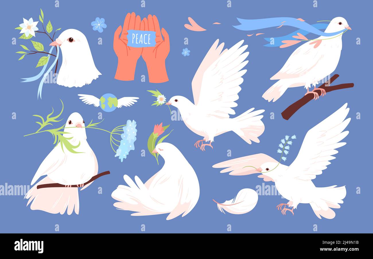 Wide set of white pigeons spreading peace Stock Vector Image & Art - Alamy