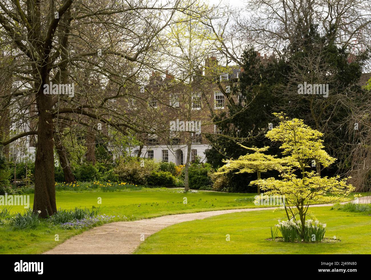 South kensington garden square hi-res stock photography and images - Alamy