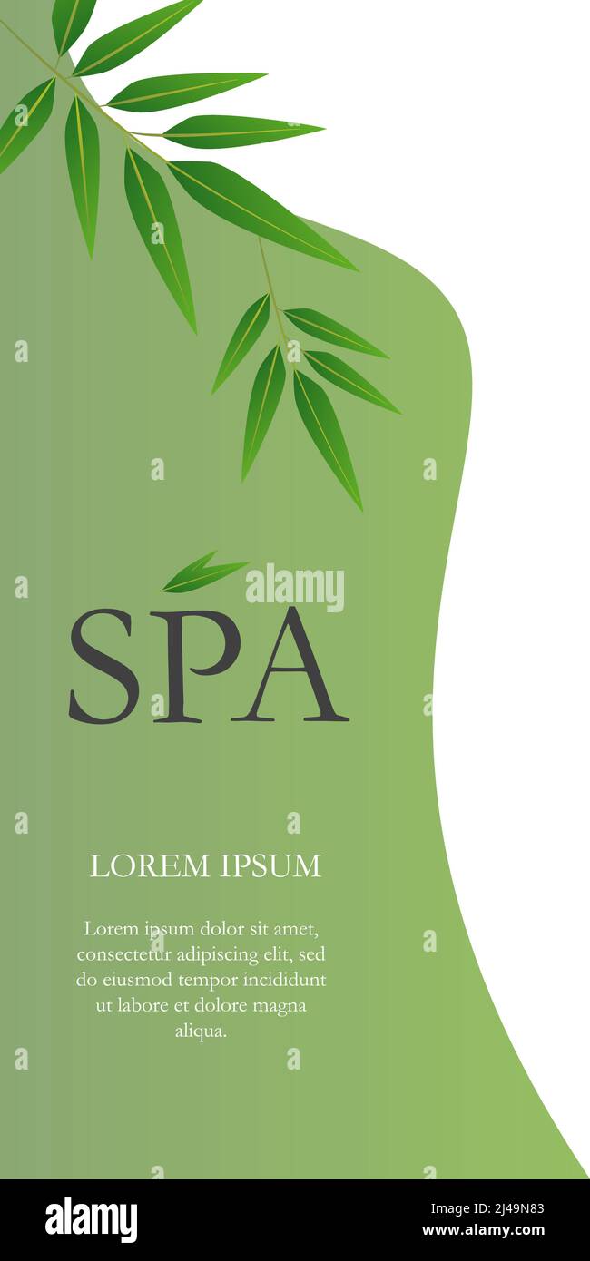 Spa lettering with hanging twigs. Creative green and white background ...