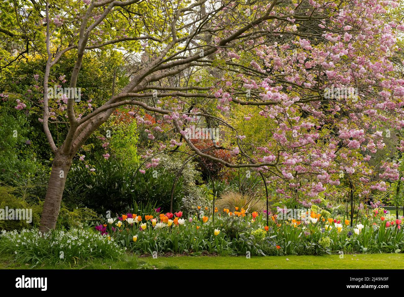 Edwardes square garden hi-res stock photography and images - Alamy