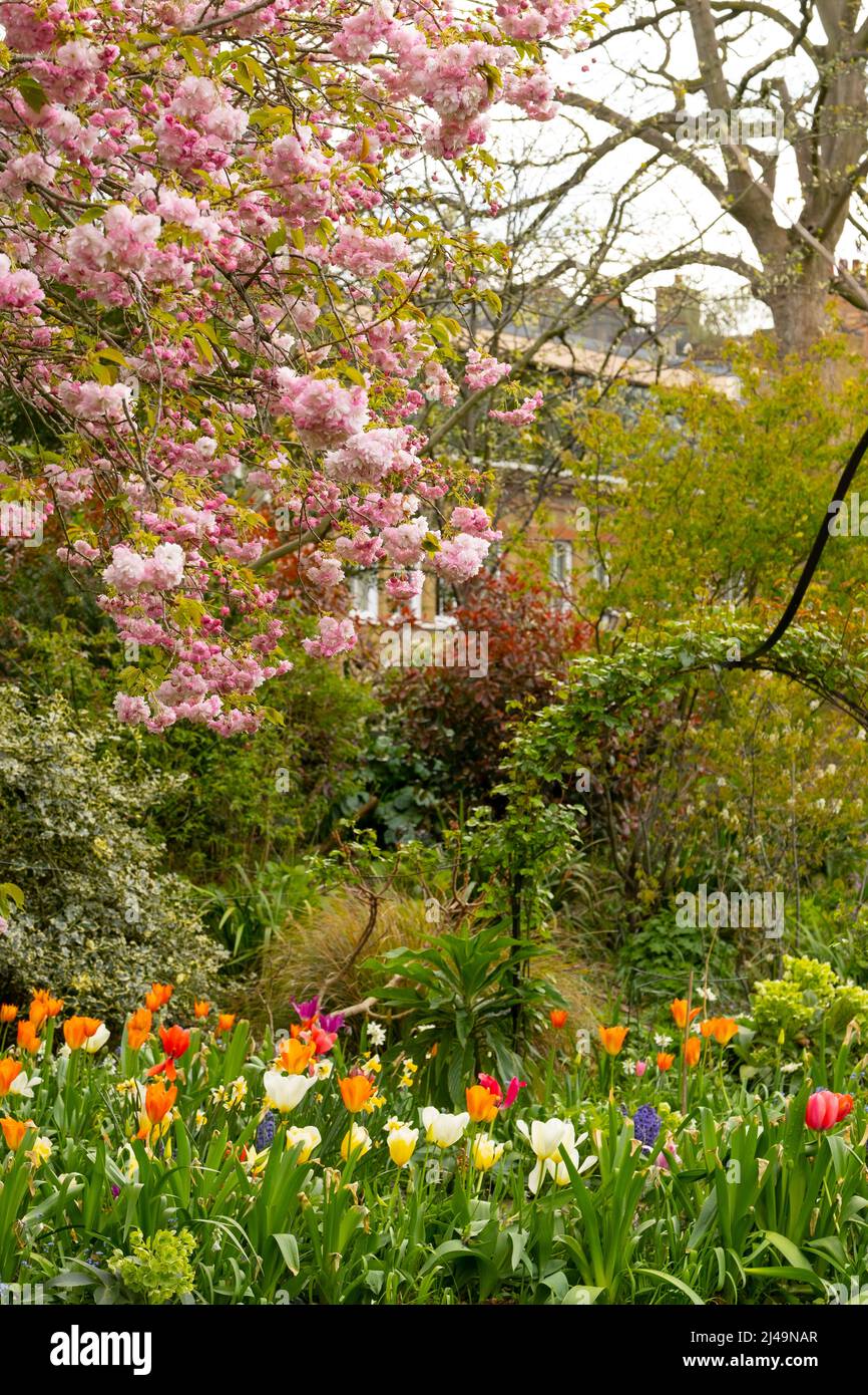 Edwardes square garden hi-res stock photography and images - Alamy