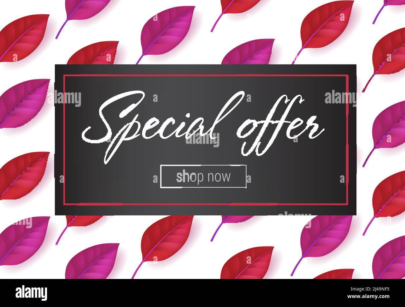 Special offer lettering in frame with leaves pattern. Autumn offer or ...