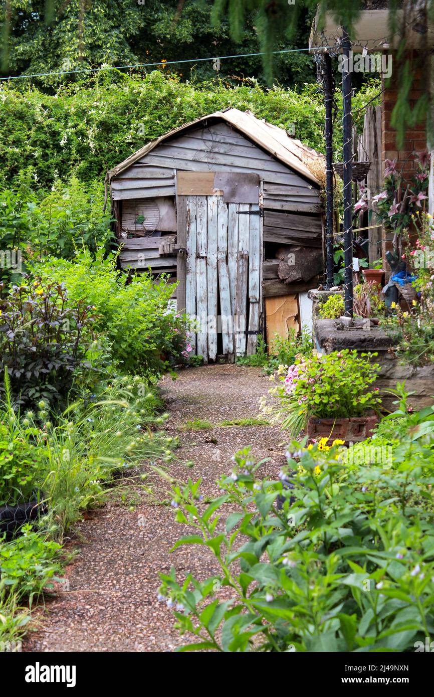 Old wooden garden shed hi-res stock photography and images - Alamy