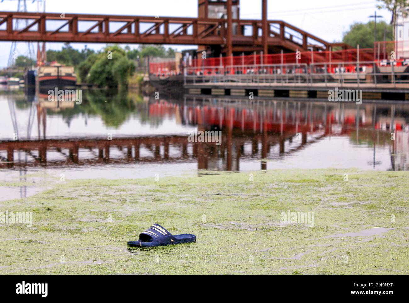 Algae river england hi-res stock photography and images - Alamy