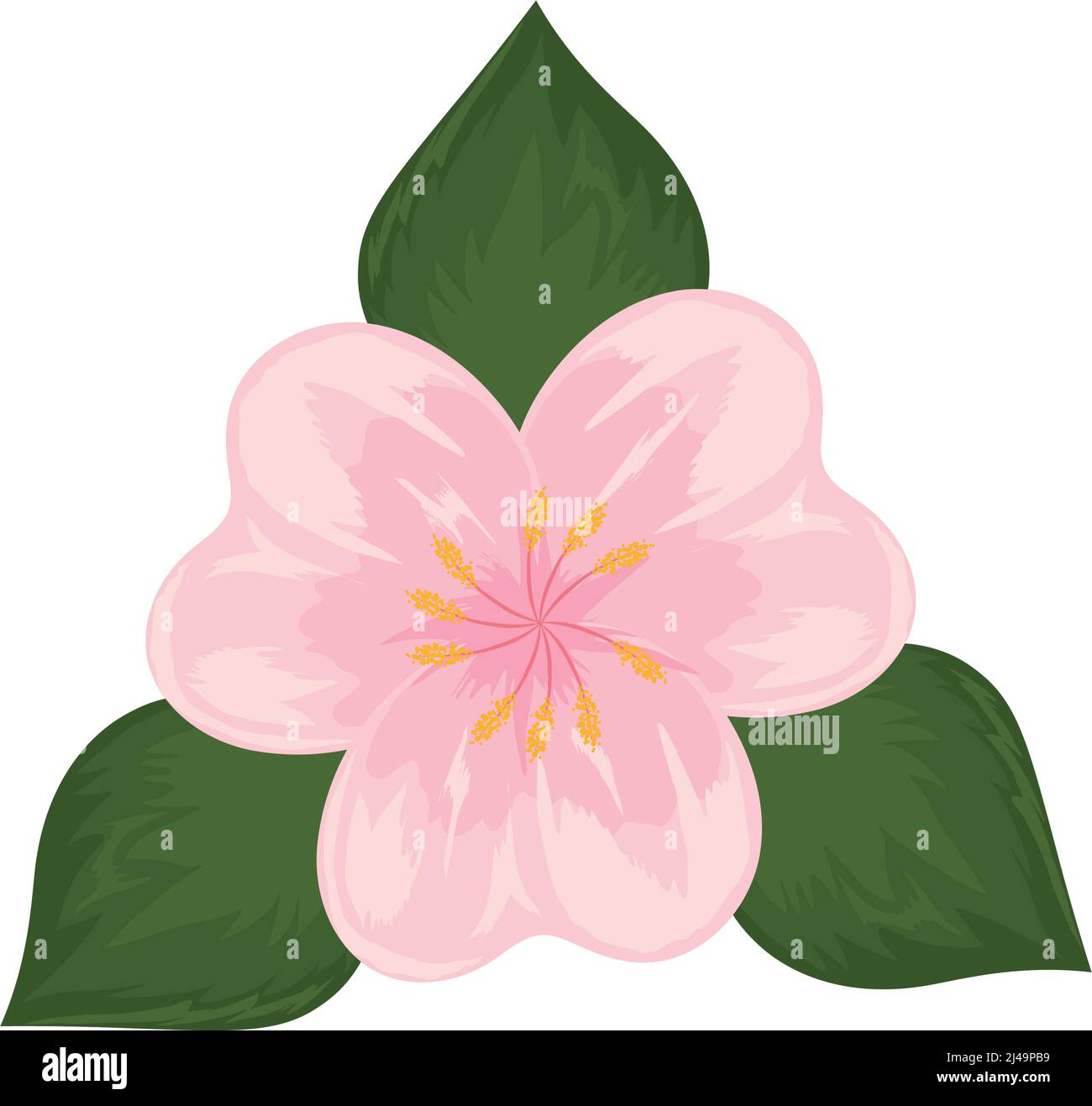 flower and leaf Stock Vector Image & Art - Alamy