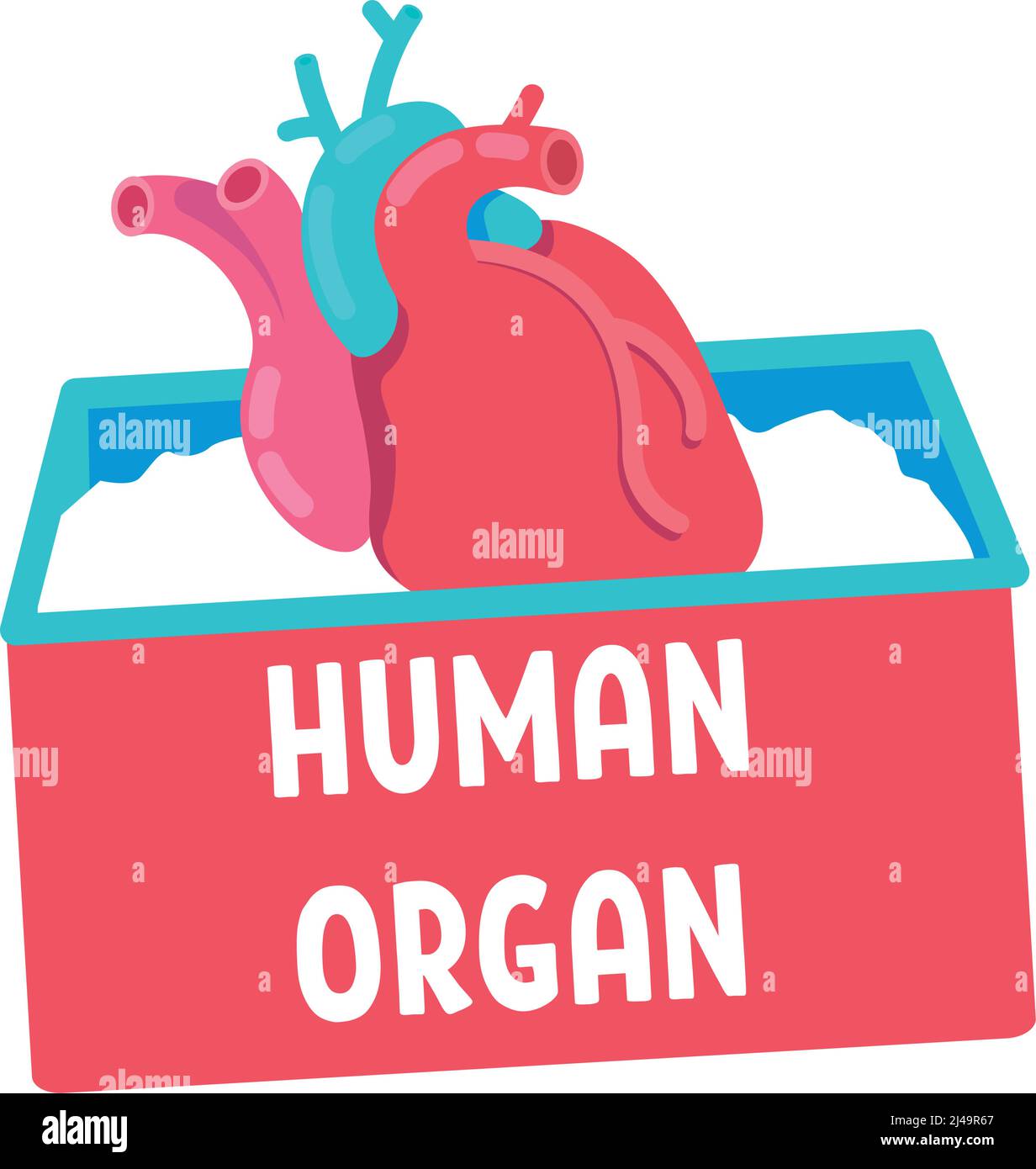 Human Organ For Transplantation Semi Flat Color Vector Object Stock