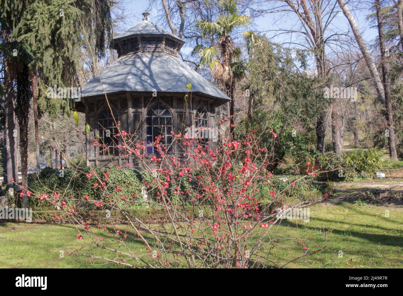 Building by a park hi-res stock photography and images - Alamy