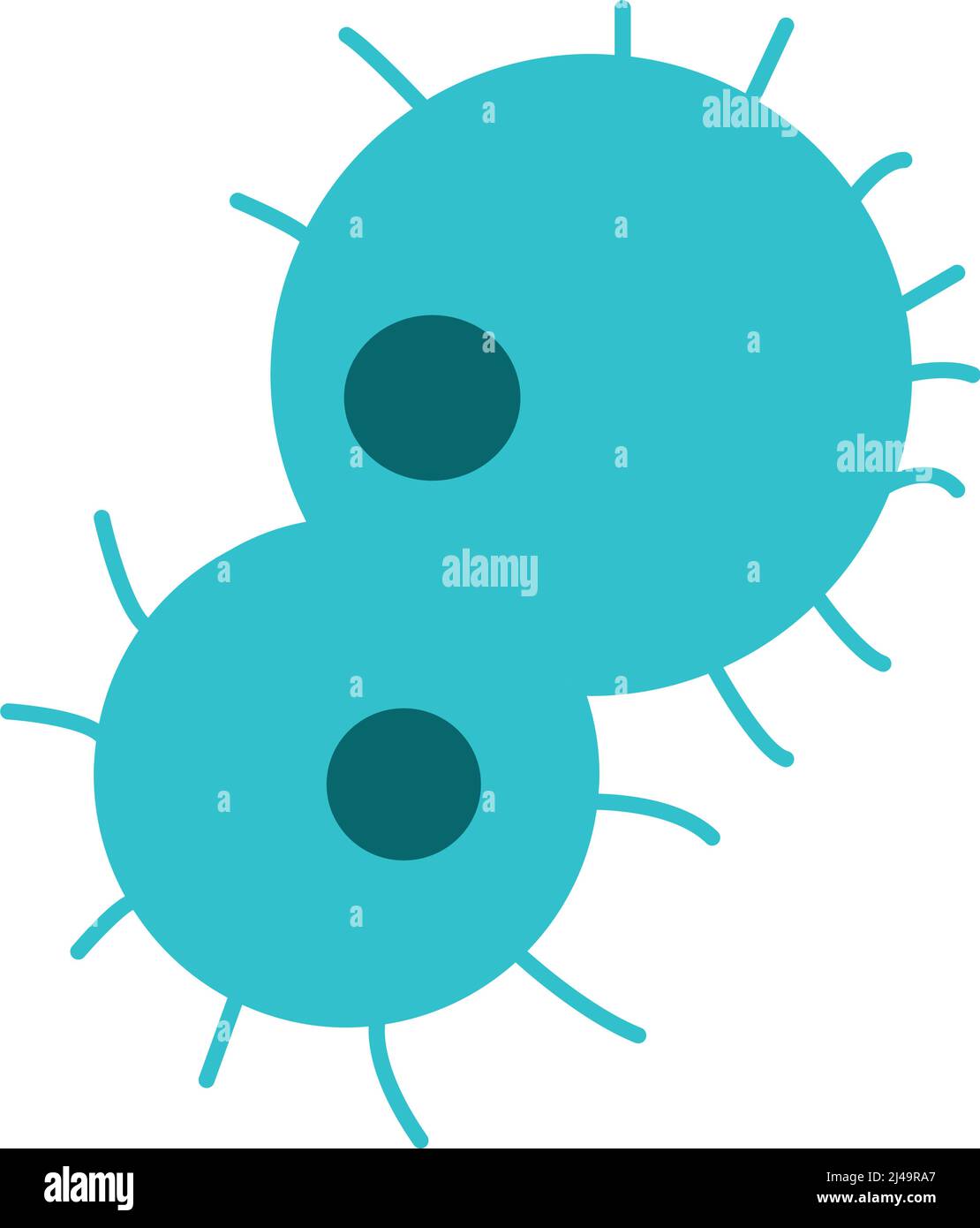 Two green cells with nucleuses semi flat color vector object Stock ...