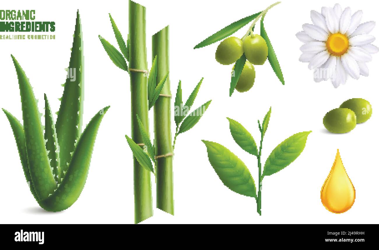 Colored realistic organic cosmetics ingredients icon set with aloe ...
