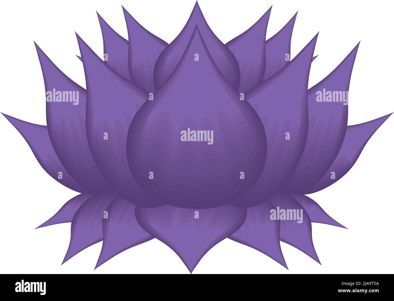 purple lotus flower Stock Vector Image & Art - Alamy