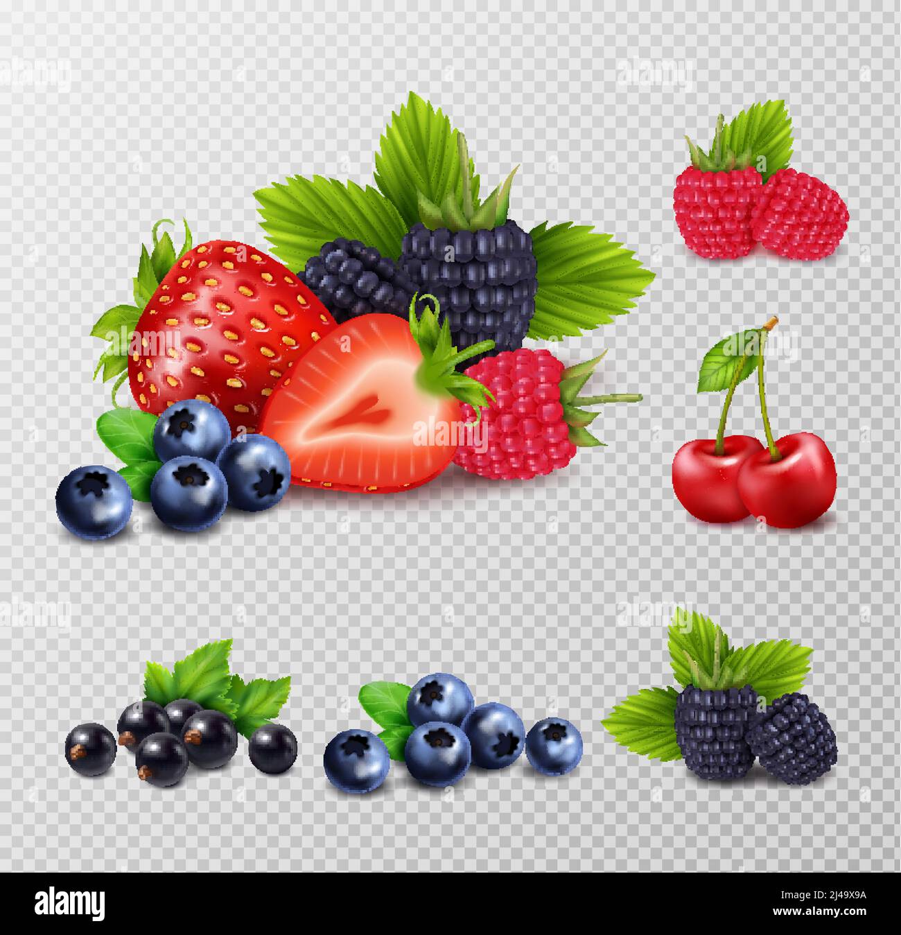 Berry fruit realistic set with clusters of ripe berries and green ...