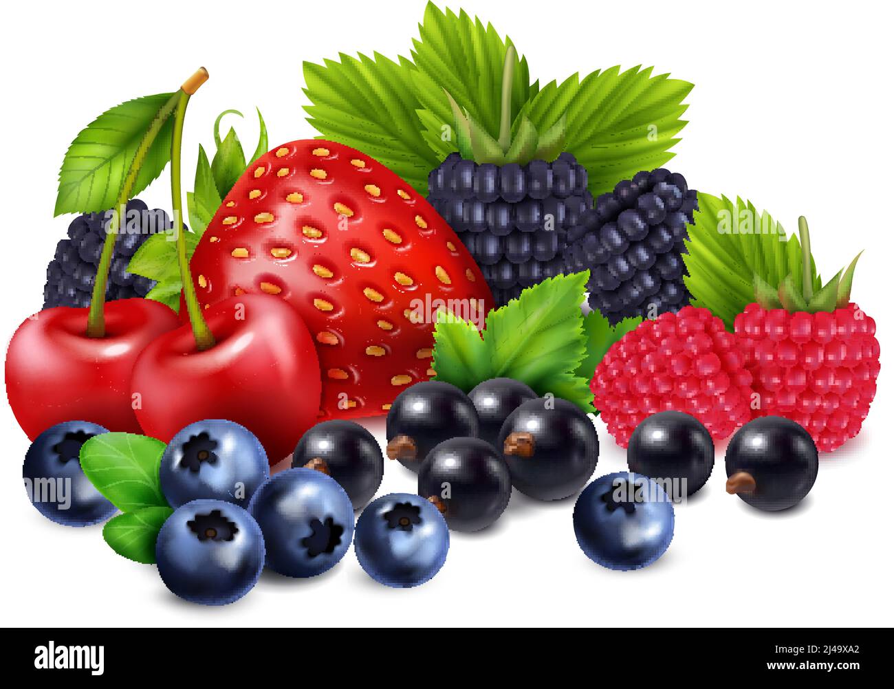 Berry fruit realistic composition with cluster of different berries ...