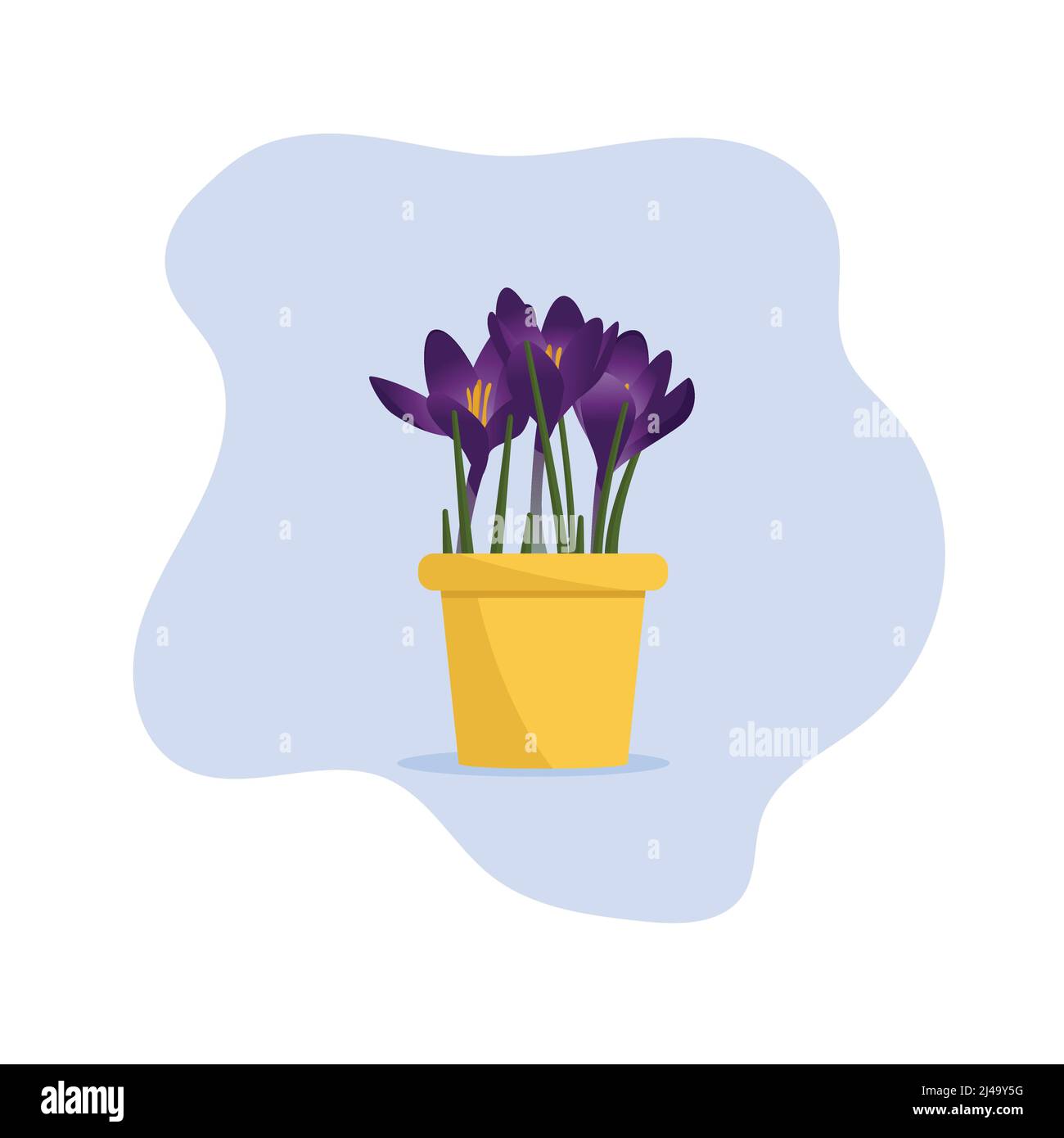 Crocus flower in pot Stock Vector Images - Alamy