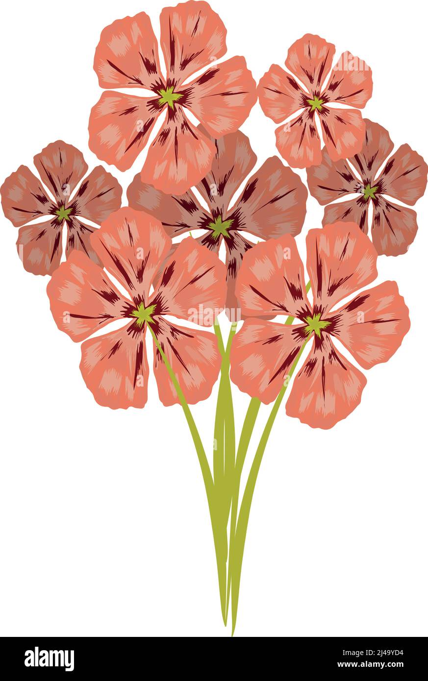 bunch of flowers Stock Vector Image & Art - Alamy