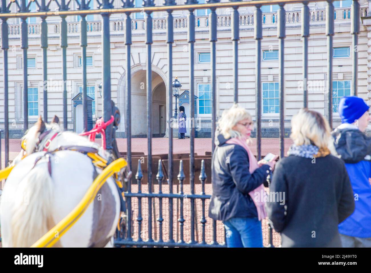Horses are tied to the railings as people gather outside Buckingham ...