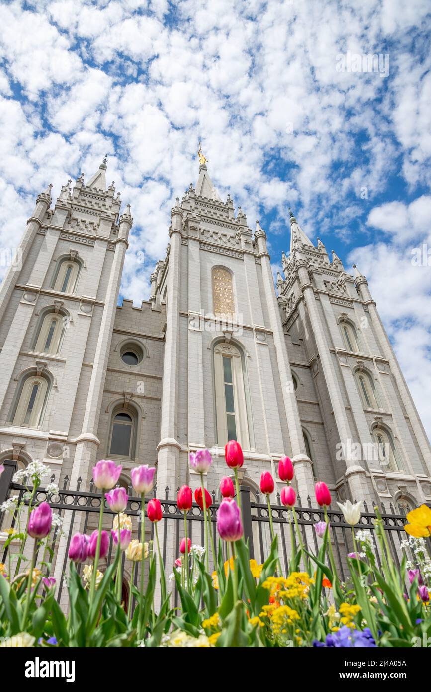 Spring 2025 hi-res stock photography and images - Alamy