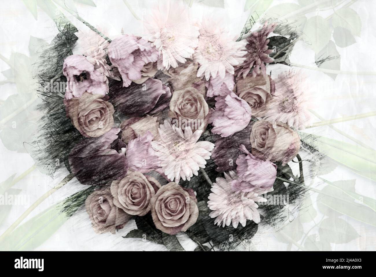 beautiful mix flowers with tulips,roses and gerberas in pencil drawing ...