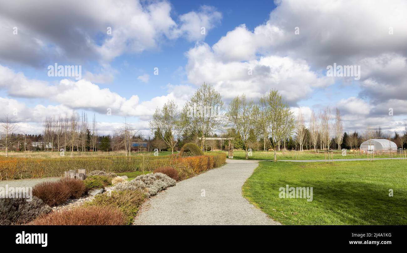 Scenic path in a park with green field and trees in a city Stock Photo ...