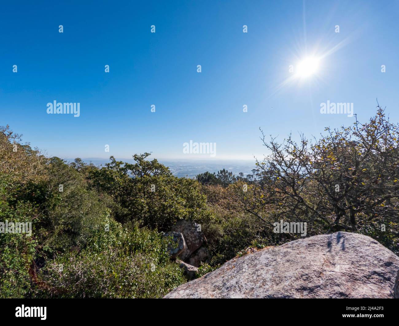 Sintra mountain valley covered hi-res stock photography and images - Alamy