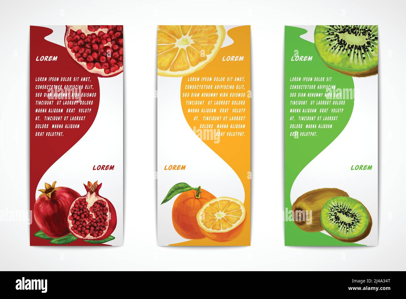 Banner Vertical De Frutas Y Verduras Selección Alimentos Saludables